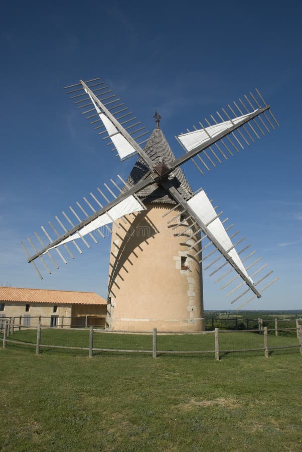 Fox in grass stock image. Image of outdoor, portrait - 12674417