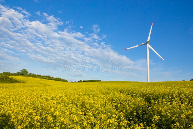 Windmill in yellow field stock photo. Image of agriculture - 5165376