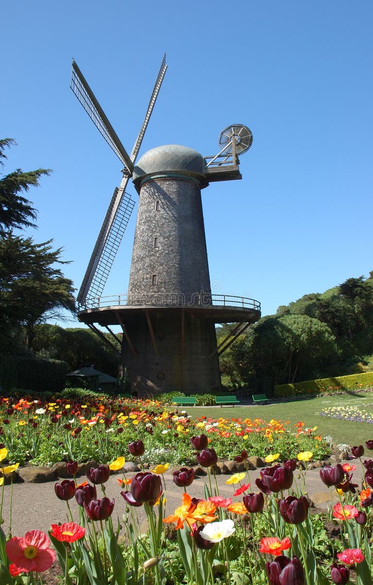 4,742 Beautiful Windmill Flowers Stock Photos - Free & Royalty-Free ...