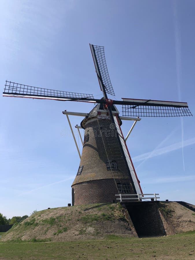 Windmill around Workum stock image. Image of sheep, summer - 221664023