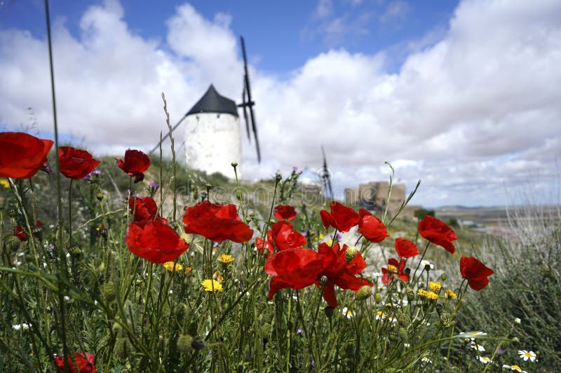 Windmill and Castle in Poppy Field Stock Image - Image of field ...