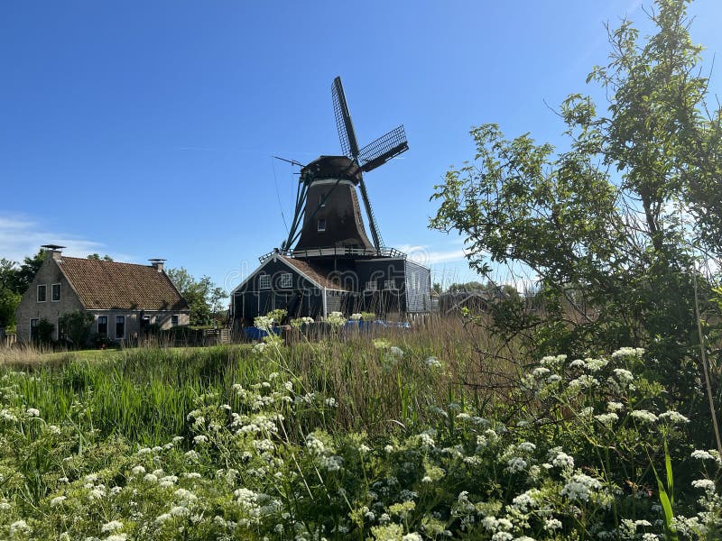 Windmill De Rat in IJlst stock image. Image of blue - 247879465