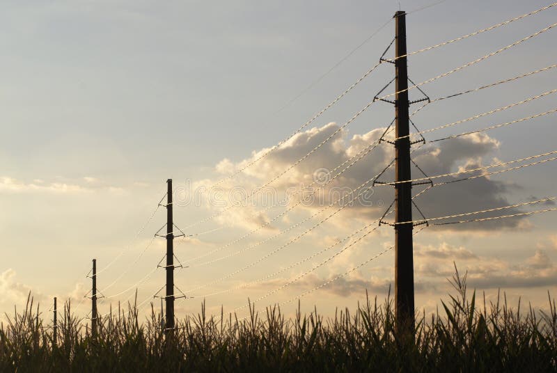 Windmill Farm Power Lines 2 Stock Photo - Image of lines, green: 75509912