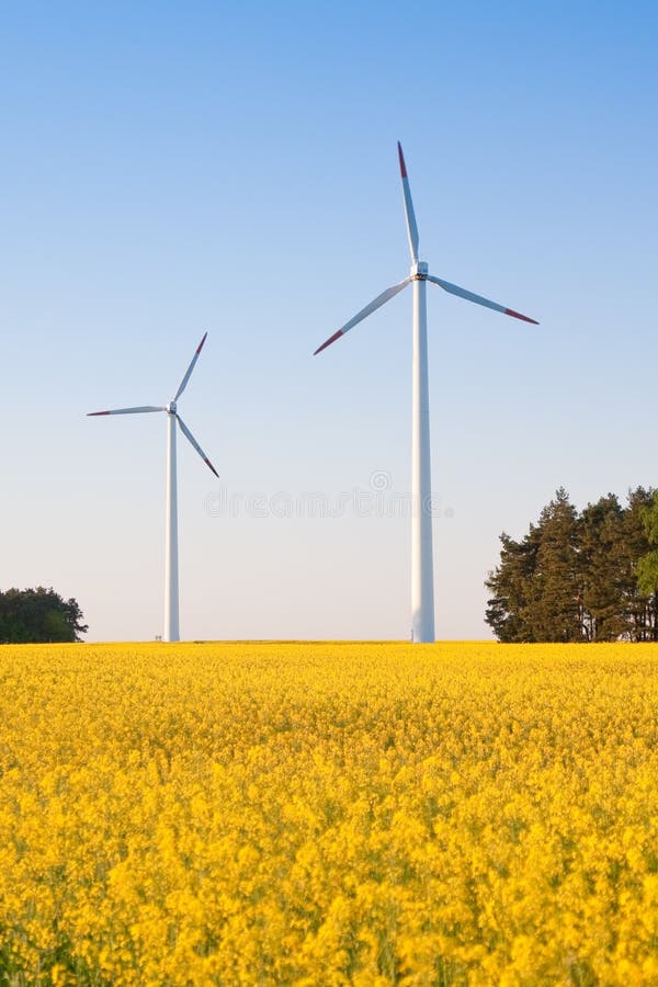 Windmill farm in the field stock image. Image of friendly - 12104725
