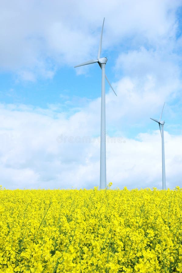 Old Windmill in a Field Near the Forest at Sunset Stock Image - Image ...