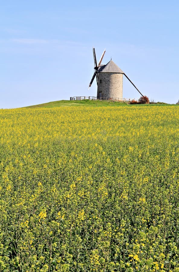 Windmill in yellow field stock photo. Image of agriculture - 5165376