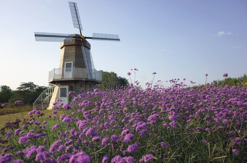 Purple windmill in garden stock image. Image of landscape - 52363609