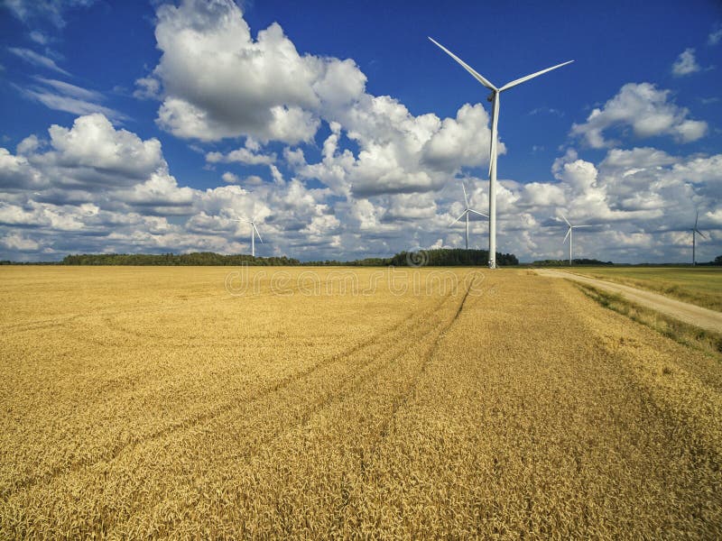 Windmill and Landscape with Wheat Field in Lithuania, Mazeikiai ...