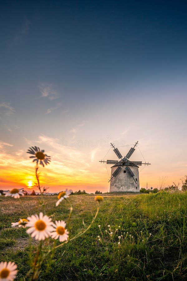 Windmill in a Picturesque Rural Setting Surrounded by Lush Green Grass ...