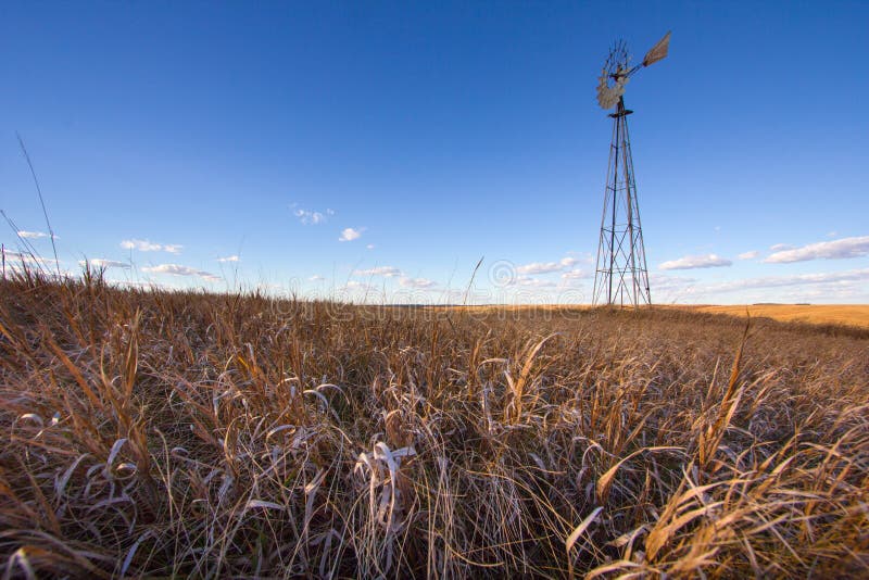 A Windmill among Prairie Grass Stock Photo - Image of grassland, golden ...