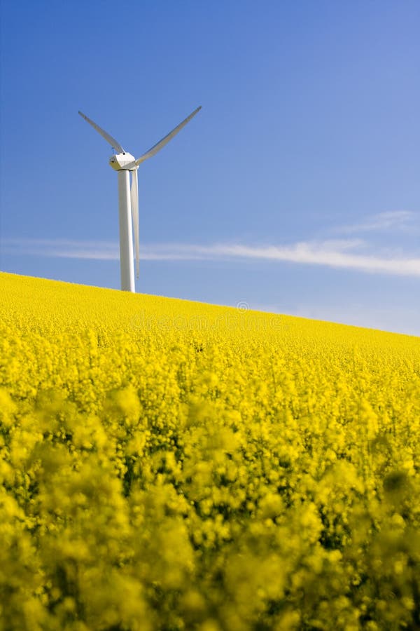 Windmill in yellow field stock photo. Image of global - 5165528
