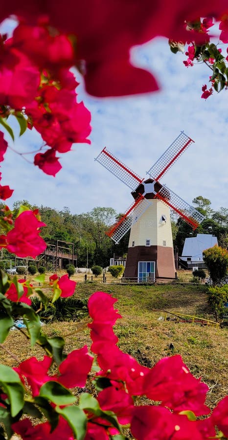 Windmill stock image. Image of park, flower, decor, windmill - 357252843