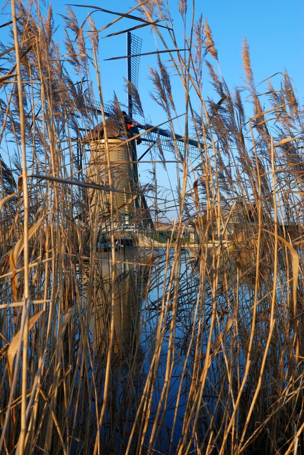 Windmill with reflection stock photo. Image of wood, dutch - 7693014