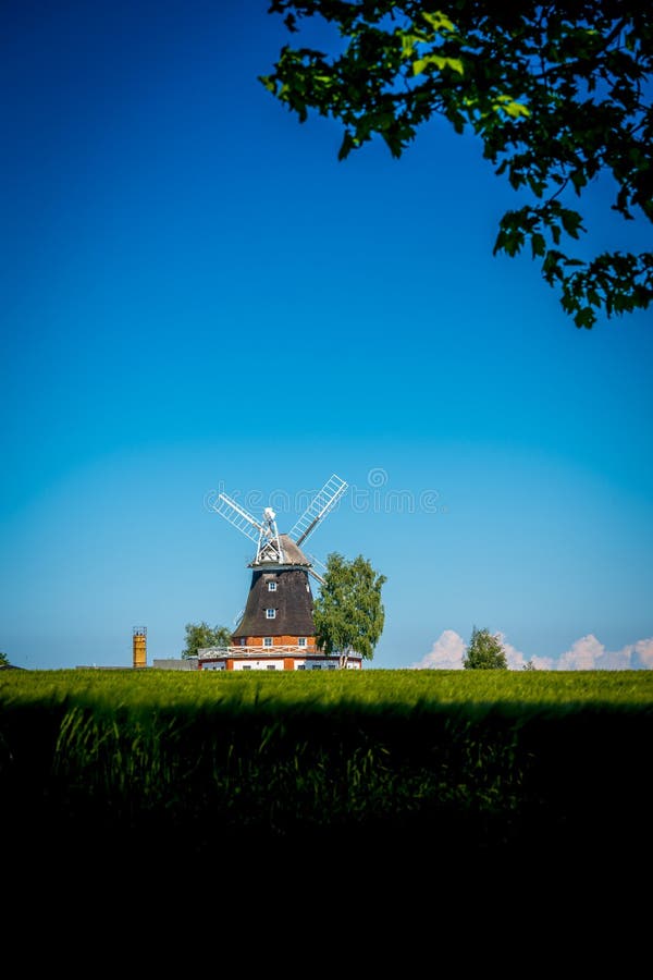 Windmill in Spring Behind a Grain Field Stock Image - Image of canal ...