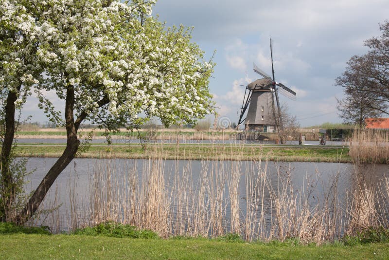 Windmill in Springtime in the Netherlands Stock Photo - Image of ...
