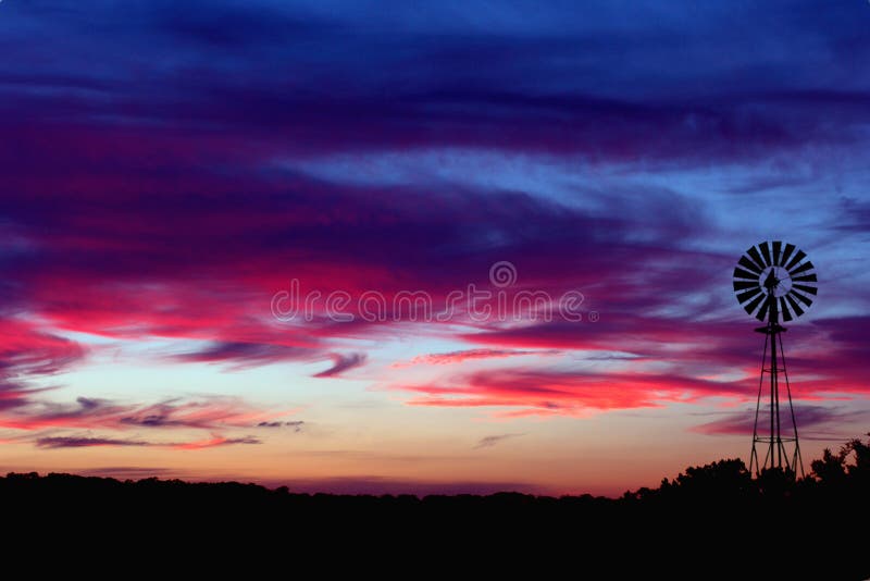 Red Barn in the Bluebonnet Field Stock Photo - Image of sunflowers ...