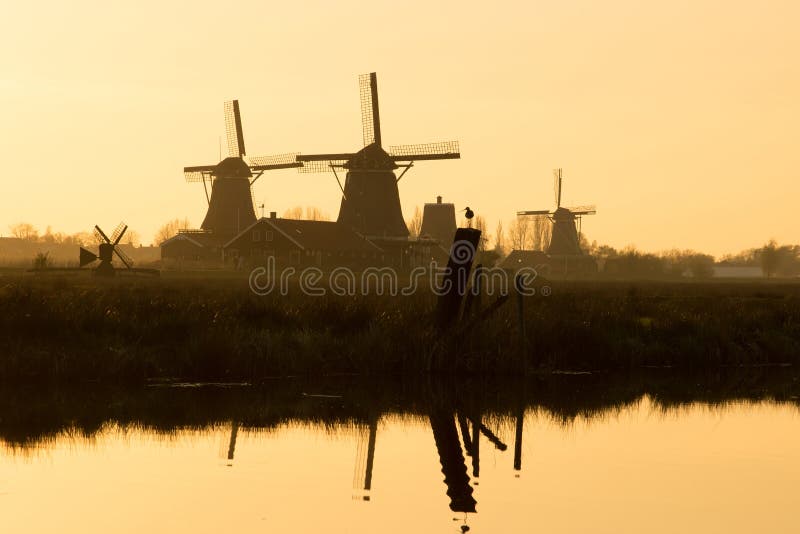 Windmill sunset stock image. Image of early, orange, gold - 51670327