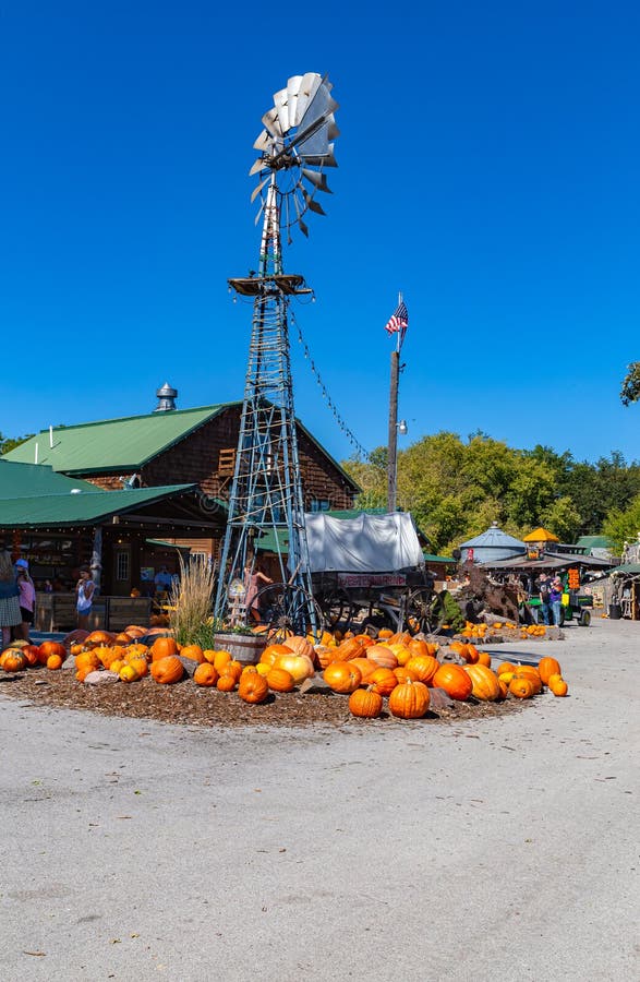 Windmill Surrounded by Pumpkins in a Pumpkin Patch Editorial ...