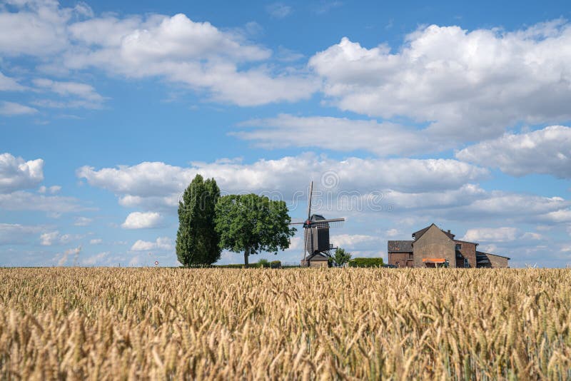 Windmill, Titz, North Rhine Westphalia, Germany Stock Image - Image of ...