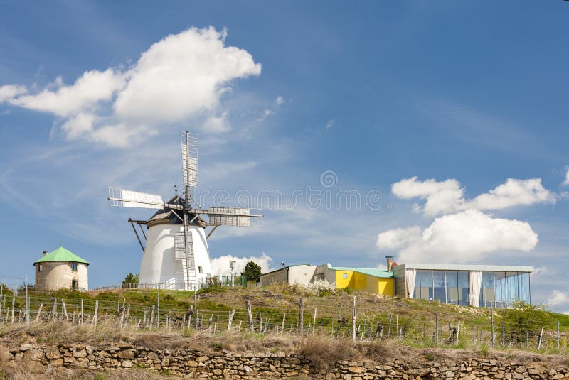Windmill with Vineyard in Retz, Lower Austria, Austria Stock Photo ...