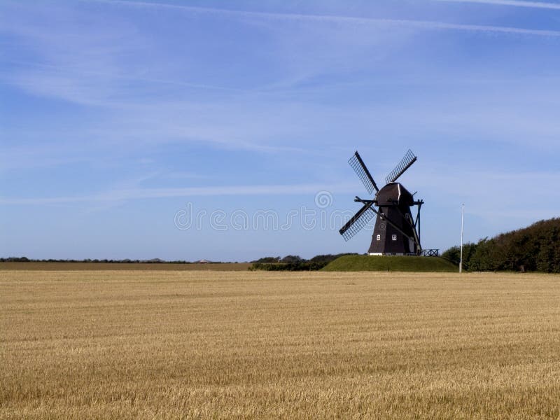 Windmill in wheat field stock photo. Image of denmark, corn - 910862