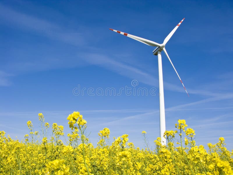 Windmill in yellow field stock photo. Image of agriculture - 5165376