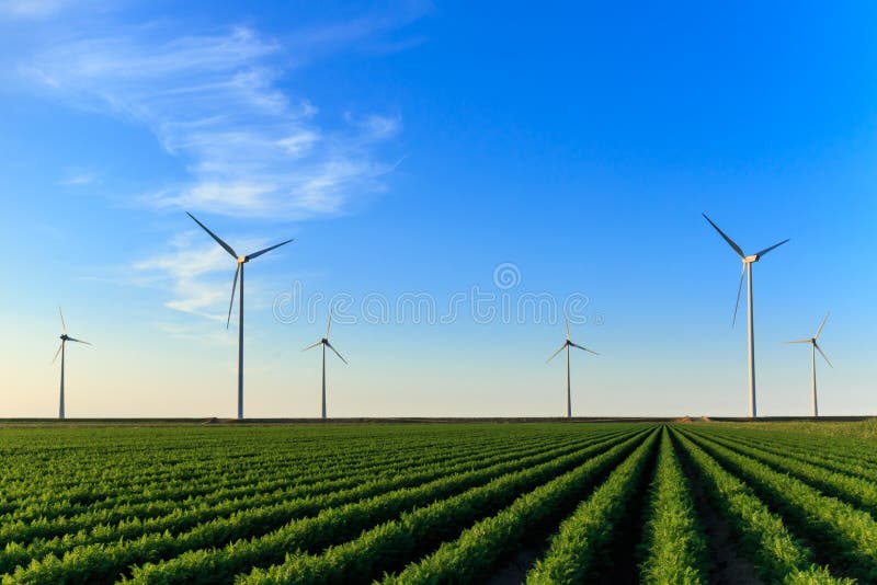 Windmills at Field of Crops Stock Photo - Image of blades, rotate: 43113326