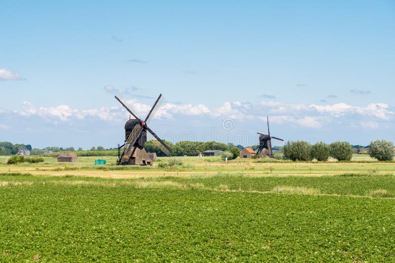 Windmills in Polder, Netherlands Stock Image - Image of brabant, meadow ...