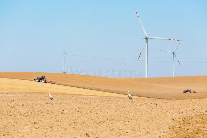 Windmills and Tractor on the Field with Storks Stock Image - Image of ...