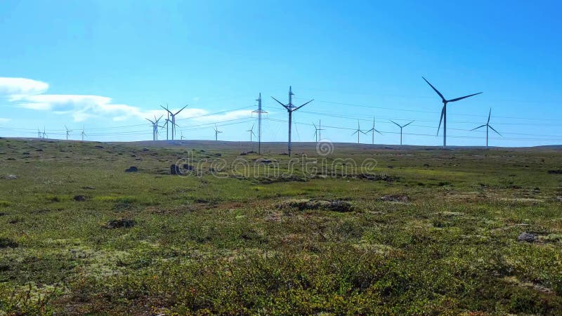 Windmills Turbine Rotating by Wind and Generating Renewable Green ...
