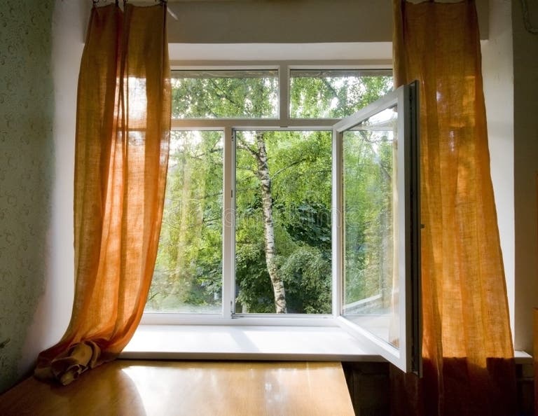 1,154 Background View Office Window Trees Stock Photos - Free & Royalty ...