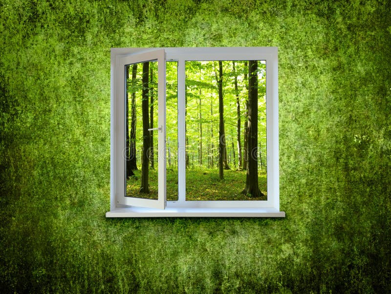 Wooden Window Jungle Green Forest View Stock Photo - Image of forest ...