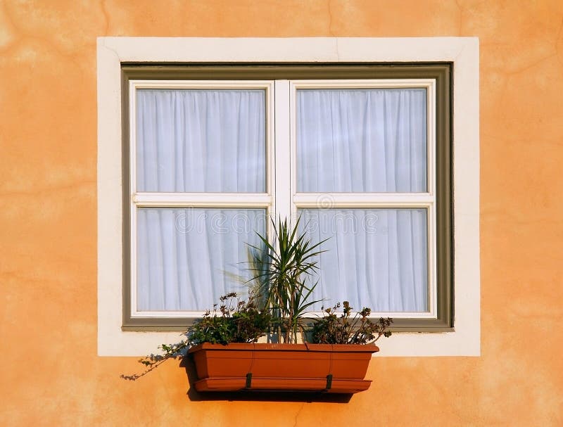 Window stock image. Image of plants, season, nature, countryside - 255667