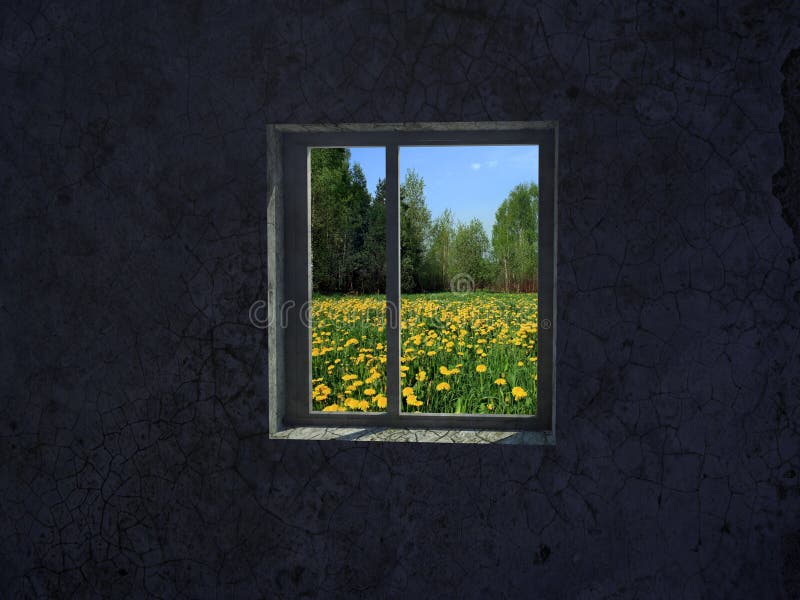 29,006 Window Dirt Stock Photos - Free & Royalty-Free Stock Photos from ...