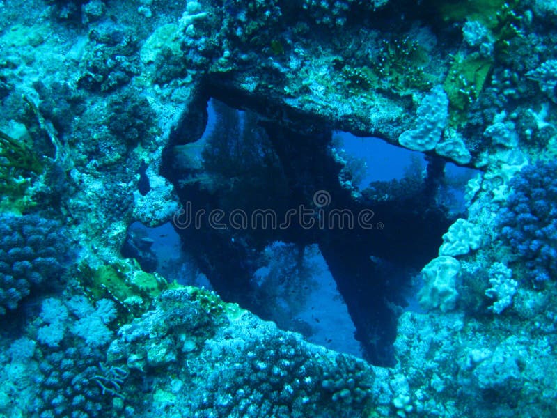 Carnatic Wreck Window Along the Bow Stock Image - Image of divers ...