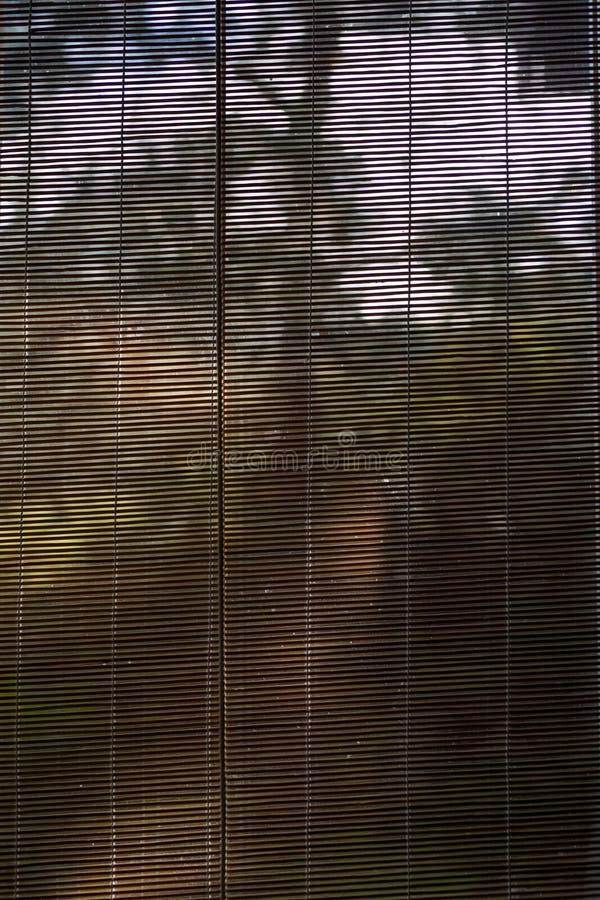 Window Binders in Forest House Stock Photo - Image of morning, cabin ...