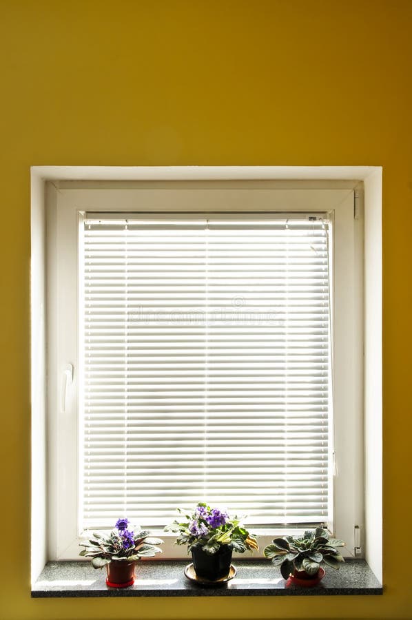 Window Blinds stock image. Image of upscale, fern, upholstery - 18694671