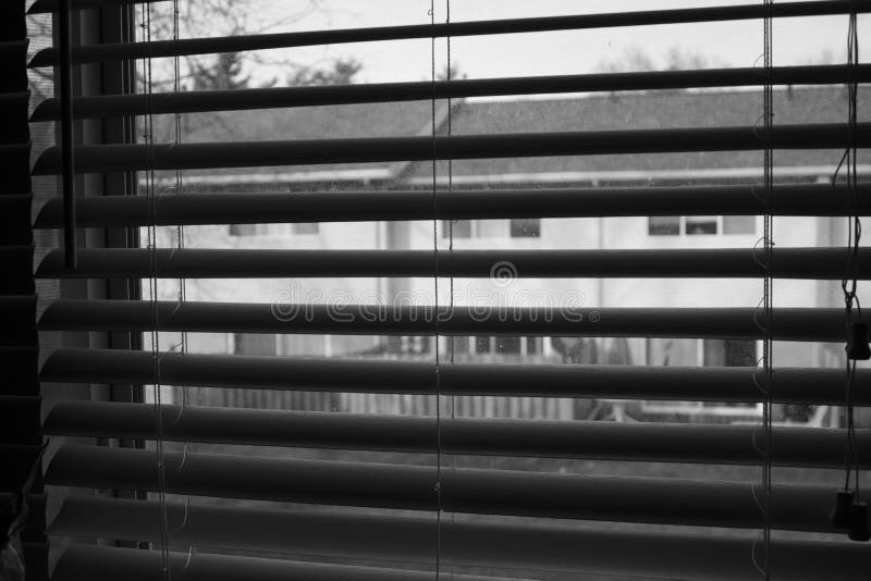 Window Blinds Close Up. Black and White Stock Image - Image of cloves ...