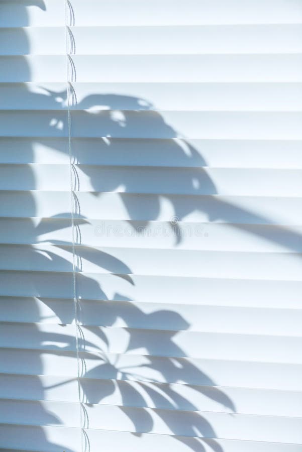 Window blinds stock image. Image of house, jalousie, curtain - 41997489