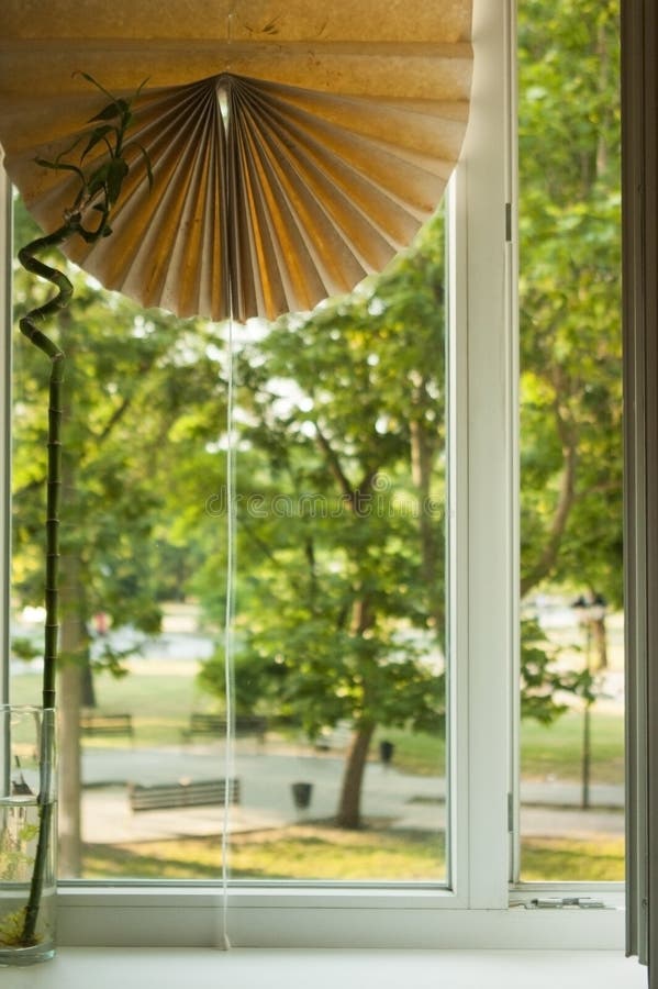 Window stock image. Image of dark, horizontal, show, inside - 56226185