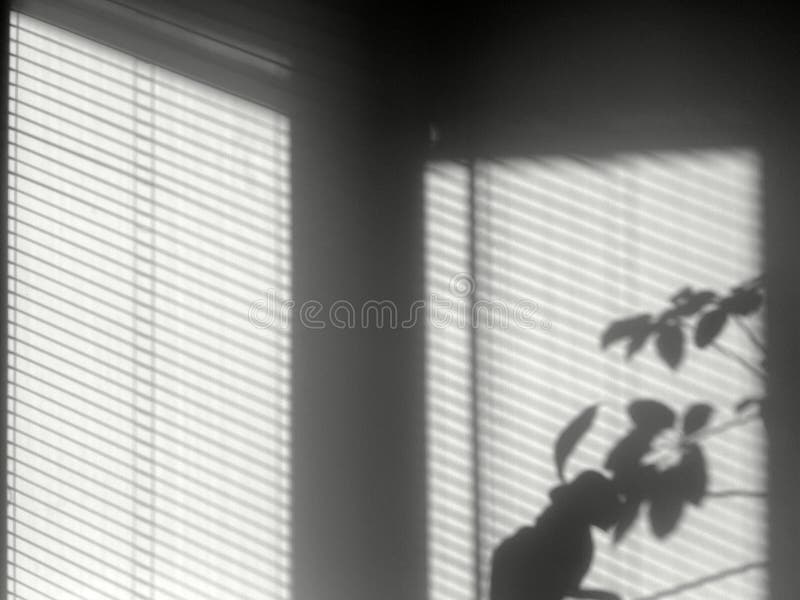 Window Blinds Shadow on Wall. Gobo Light Stock Photo - Image of ...