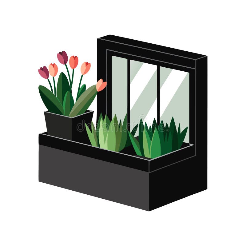 Window Box with Tulips and Green Plants, Modern Isometric Design Stock ...