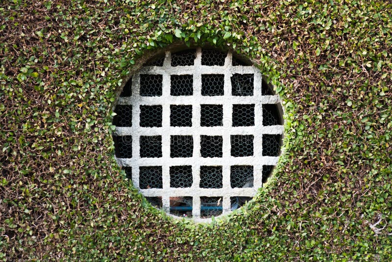 Window in the bush stock photo. Image of square, circle - 57460232