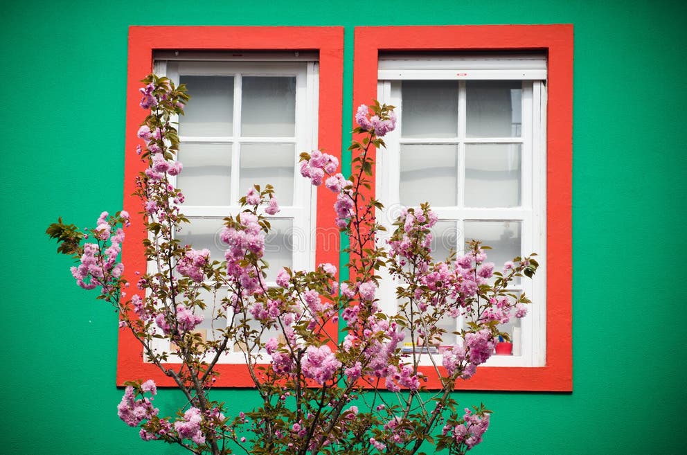 Window and cherry stock photo. Image of gardening, architecturedetail ...