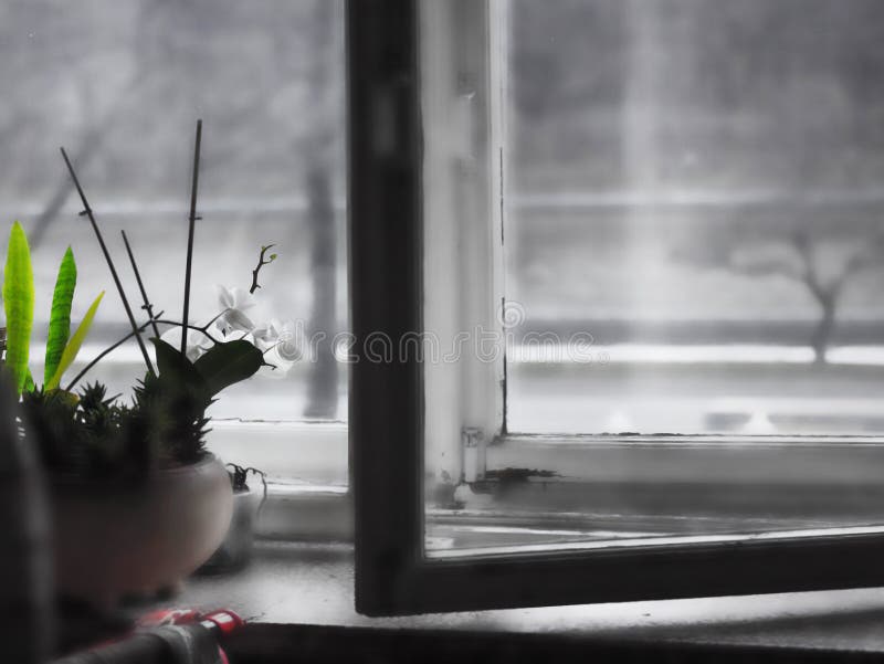 Window on cloudy day stock image. Image of urban, storm - 79428579