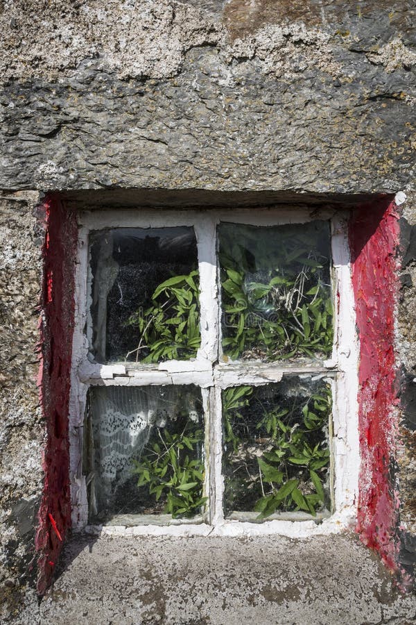 Window in Croft Ruin in Scotland. Stock Photo - Image of cabrach, stone ...