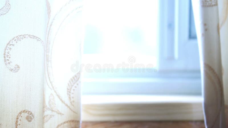 Window Curtain on the Wind. Curtains Floating in the Summer Breeze ...