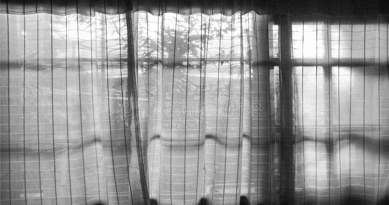 Window Curtains in Natural Light Stock Photo - Image of clean, house ...