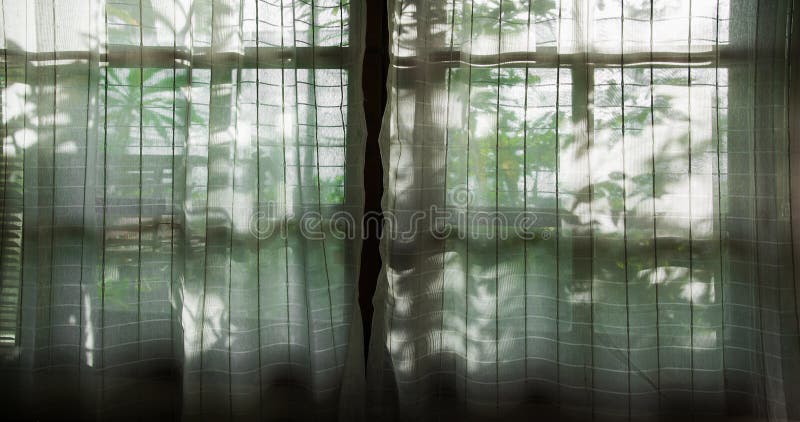 Window Curtains and Shadow in Natural Light Stock Image - Image of ...