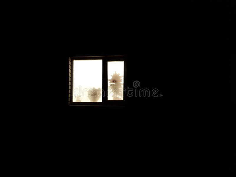 The Window in the Dark, on the Window, Images of Flowers Stock Photo ...